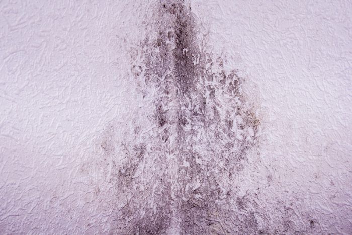 Traumatic Damp Christchurch | Tudor Remedial